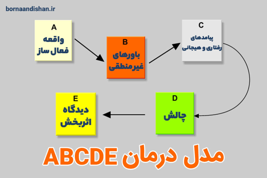 نظریه رفتار درمانی عقلانی هیجانی و ابعاد آن برنا اندیشان